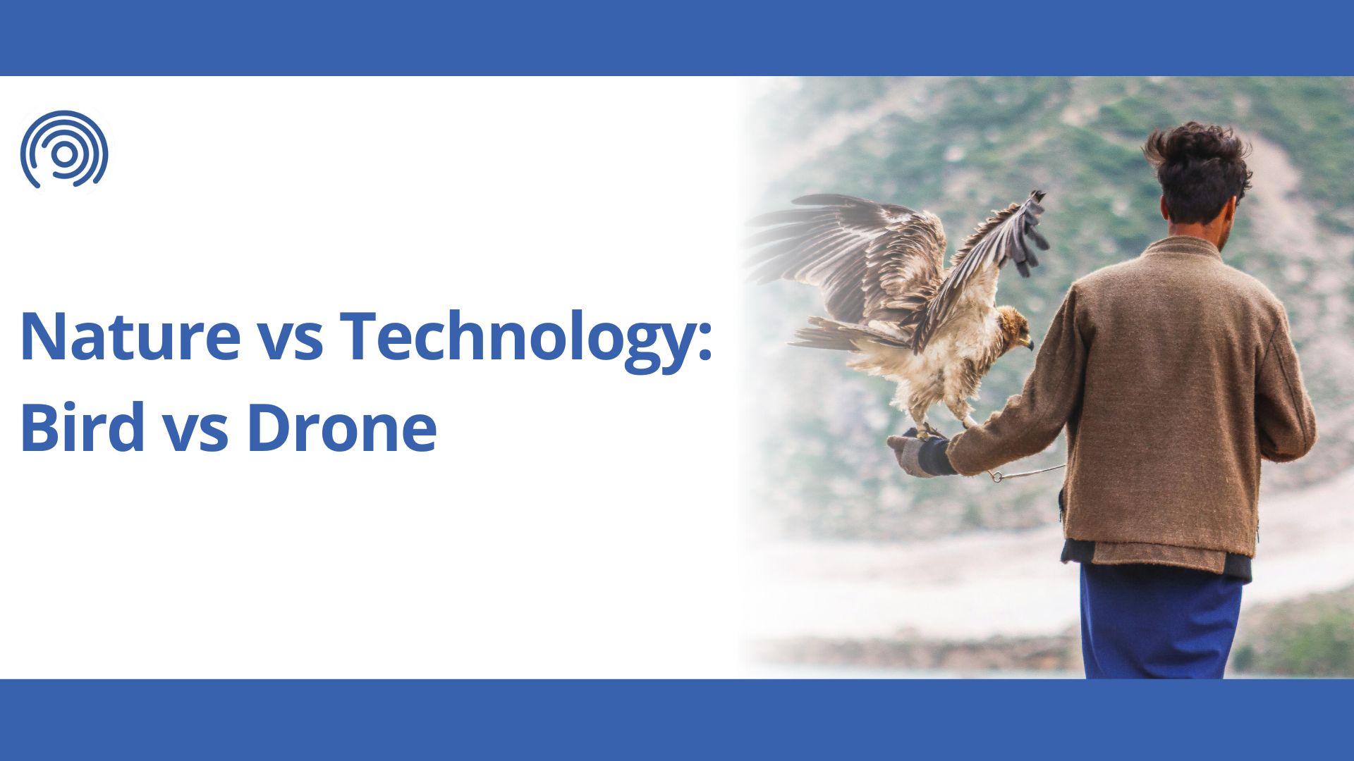 Nature vs Technology: Bird vs Drone
